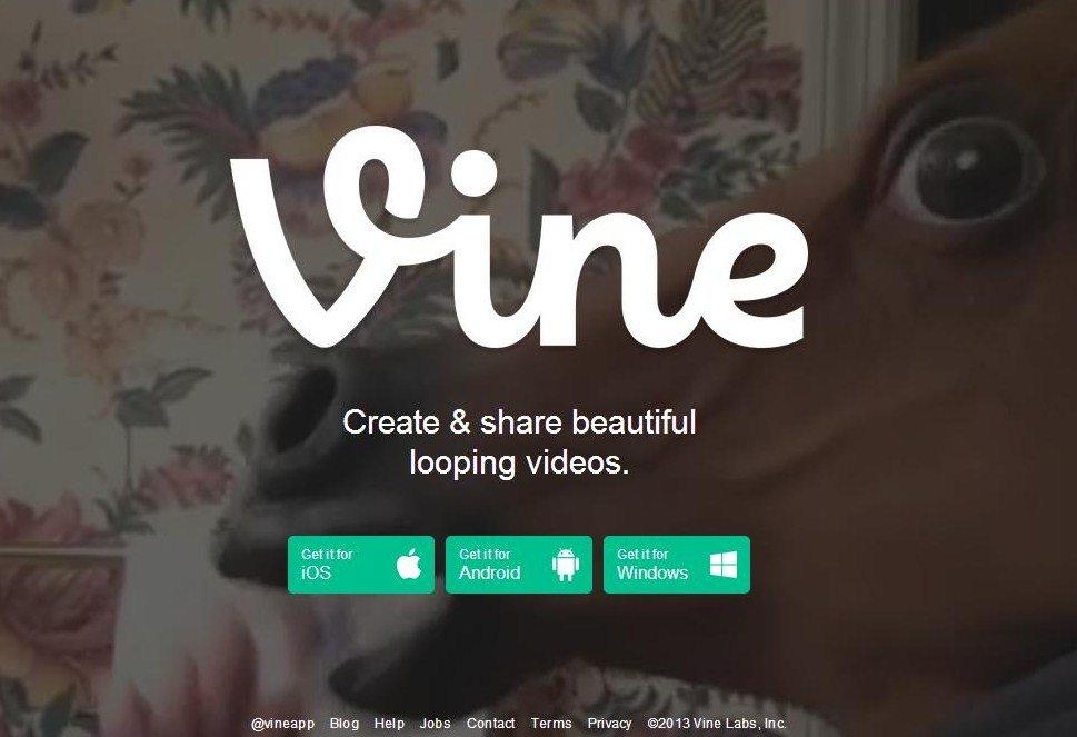 Vine ha lanciato la nuova versione browser: ecco le novità